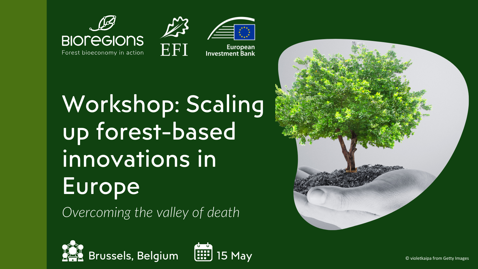 Workshop: Scaling up Forest-based Innovations in Europe | European Forest Institute
